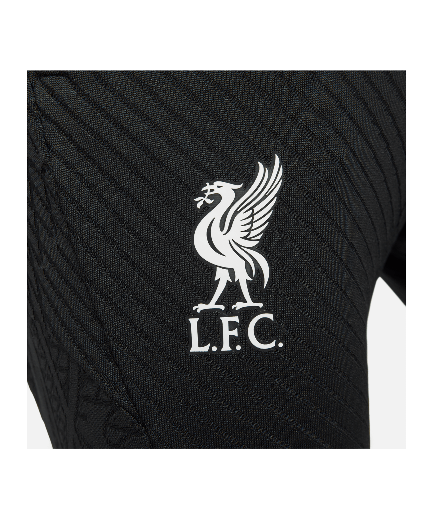 Nike FC Liverpool Trainingshose Schwarz F010 | Fan-Shop | Replica
