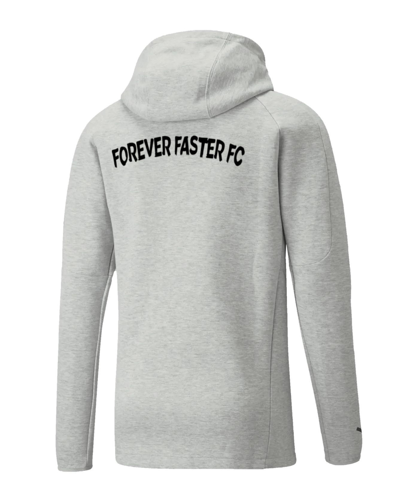 PUMA Forever Faster FC Freizeit-Hoody | Teamsport | Jacken ...