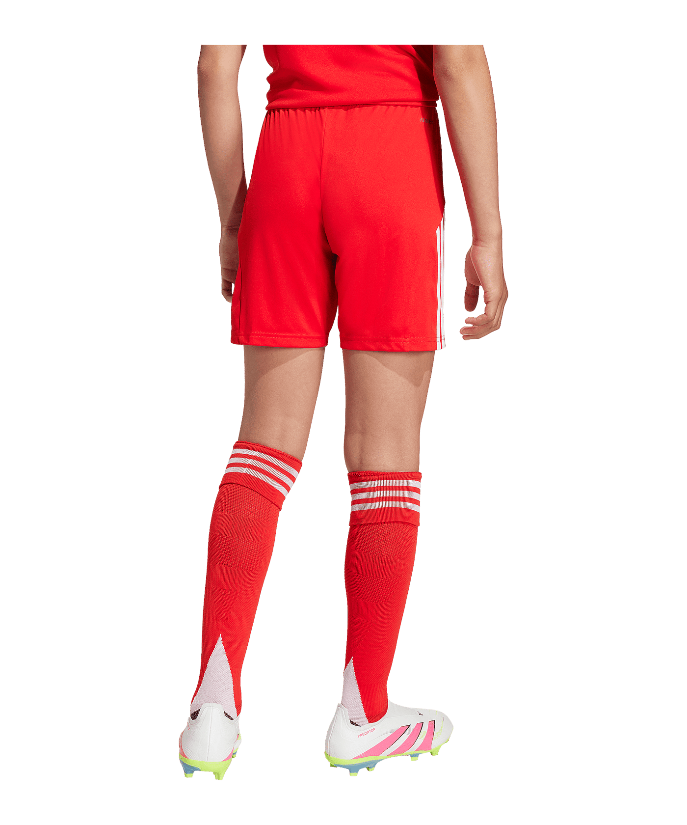 adidas FC Bayern München Short Home 2025/2026 Kids Rot | Fan-Shop | Fan ...