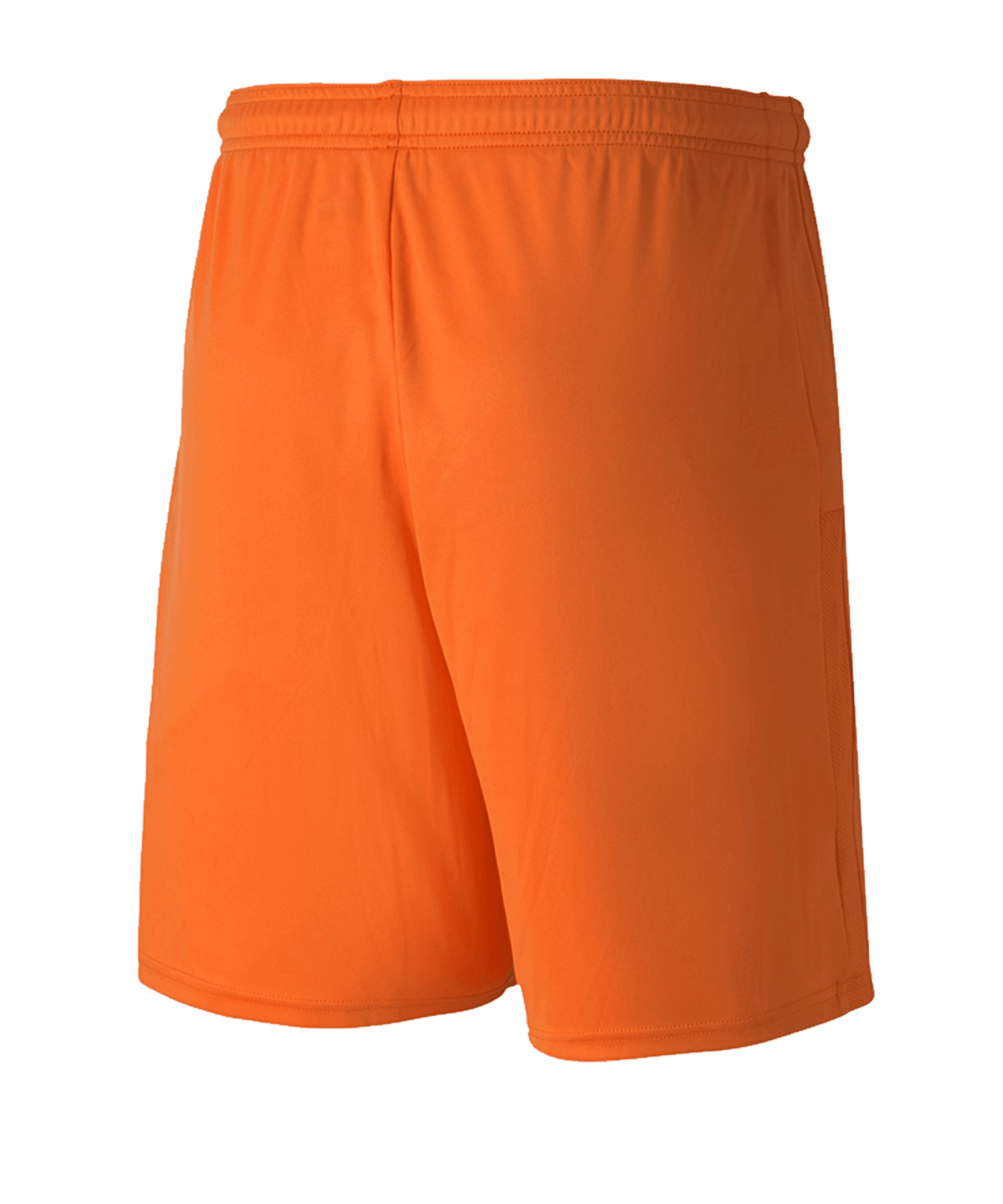 PUMA teamGOAL 23 Knit Short Orange F08 | Shorts | Funktionell | Sport
