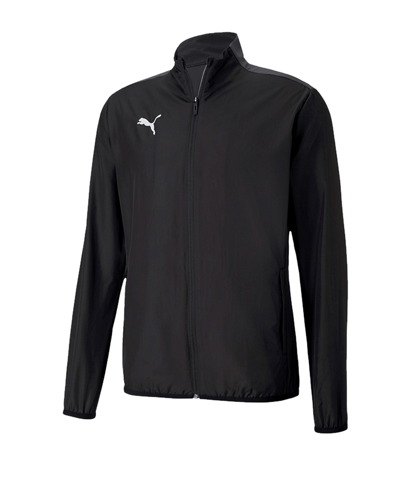 PUMA teamGOAL 23 Veste d'entraînement Sideline pour enfants F03 ...