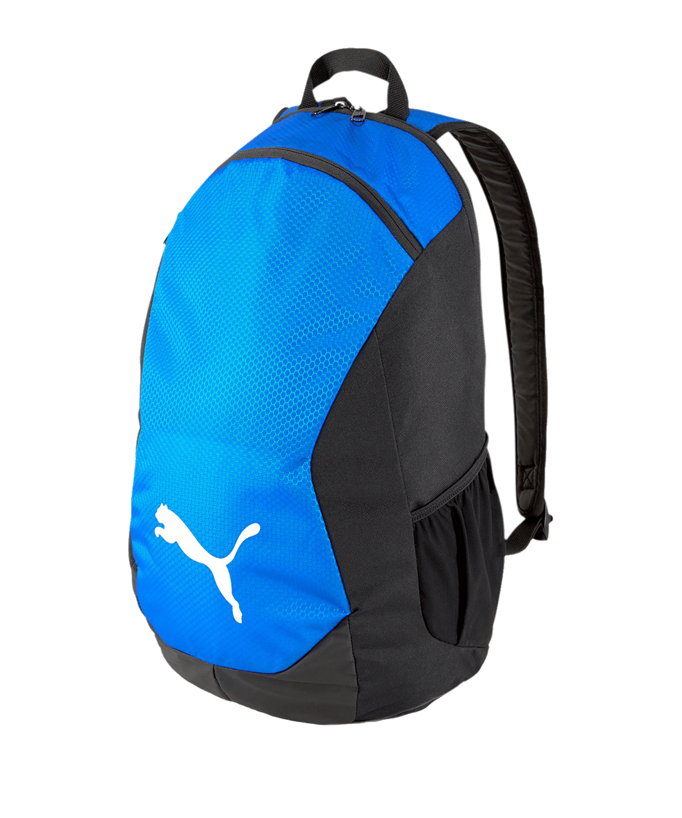 PUMA teamFINAL 21 Sac à dos Bleu F02 | Équipement de football ...