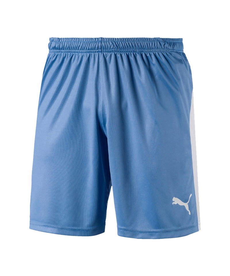 PUMA LIGA Short Blau Weiss F18 | Teamsport | Shorts | Vereinsbekleidung