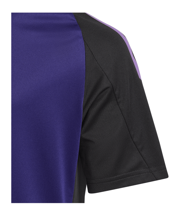Dfb Trainingsshirt Lila