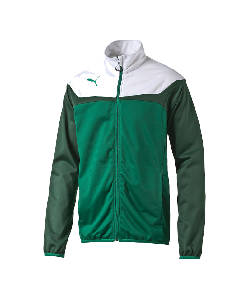 PUMA Esito 3 Polyesterjacke Kids Grün Weiss F05 | Teamsport | Jacken